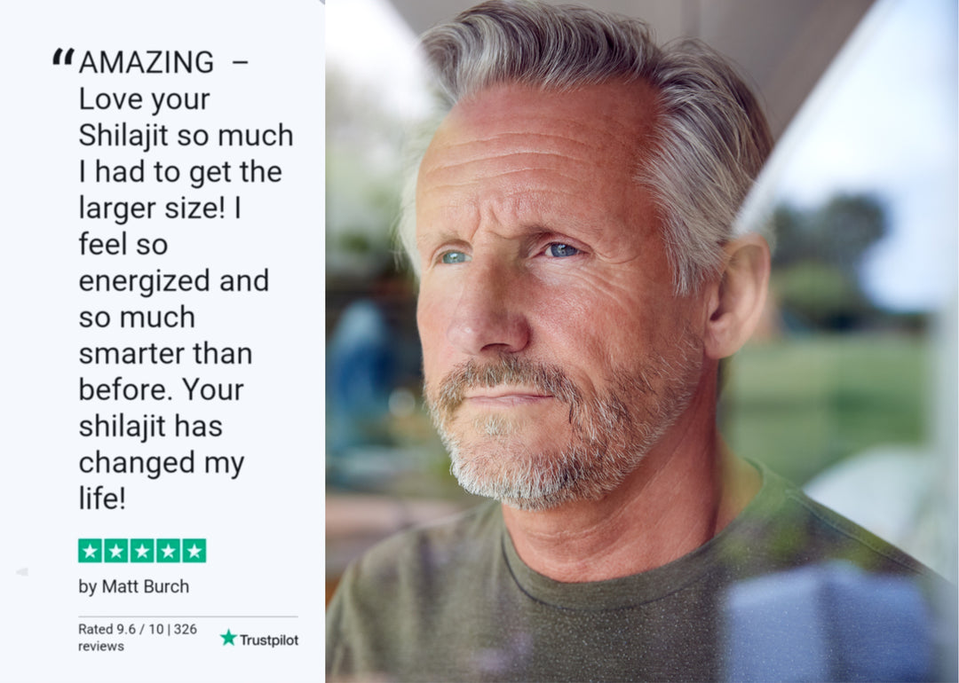 Shilajit Resin by Purblack Europe – PURBLACK EUROPE